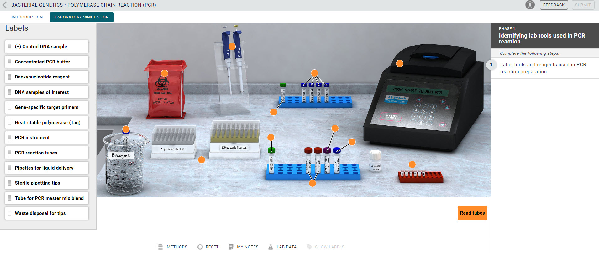 Virtual Lab Polymerase Chain Reaction Virtual Lab Labster Virtual Lab Polymerase Chain Reaction Virtual Lab Labster