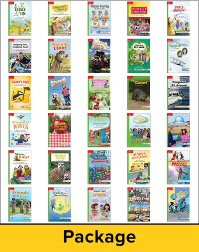 Reading Wonders, Grade 1, Leveled Reader Package Beyond
