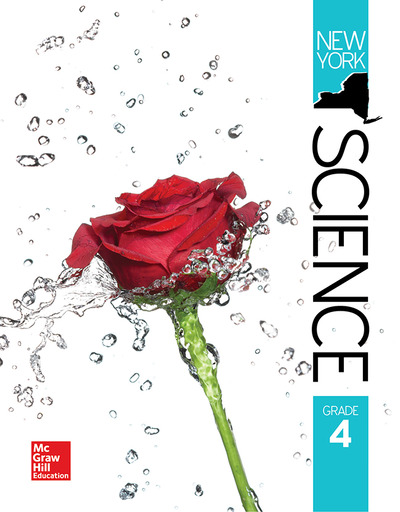 Elementary Science NY Grade 4, Student Edition