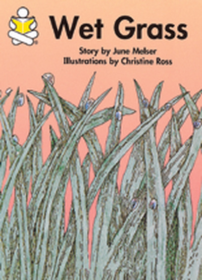 Story Box, Wet Grass