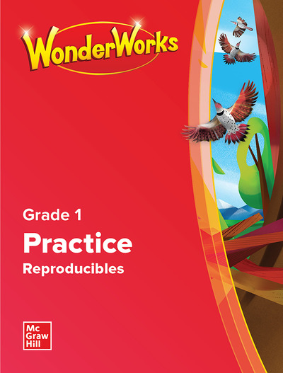 WonderWorks Practice Book Grade 1 NA