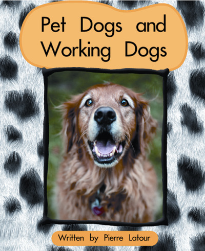 Springboard Beginning Reading Concept Big Books