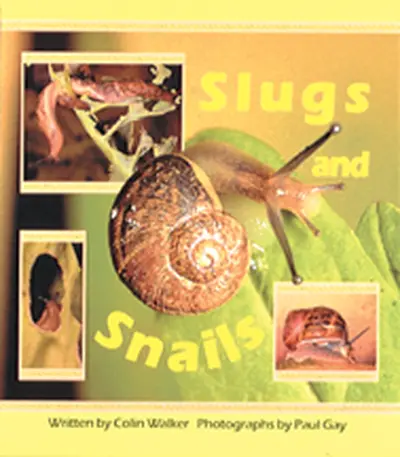 Wonder World, Slugs and Snails