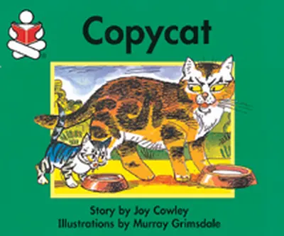 Story Box, Copycat