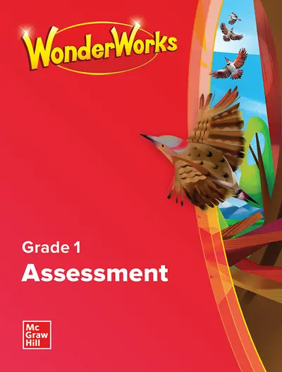 WonderWorks Assessment BLM Grade 1 NA