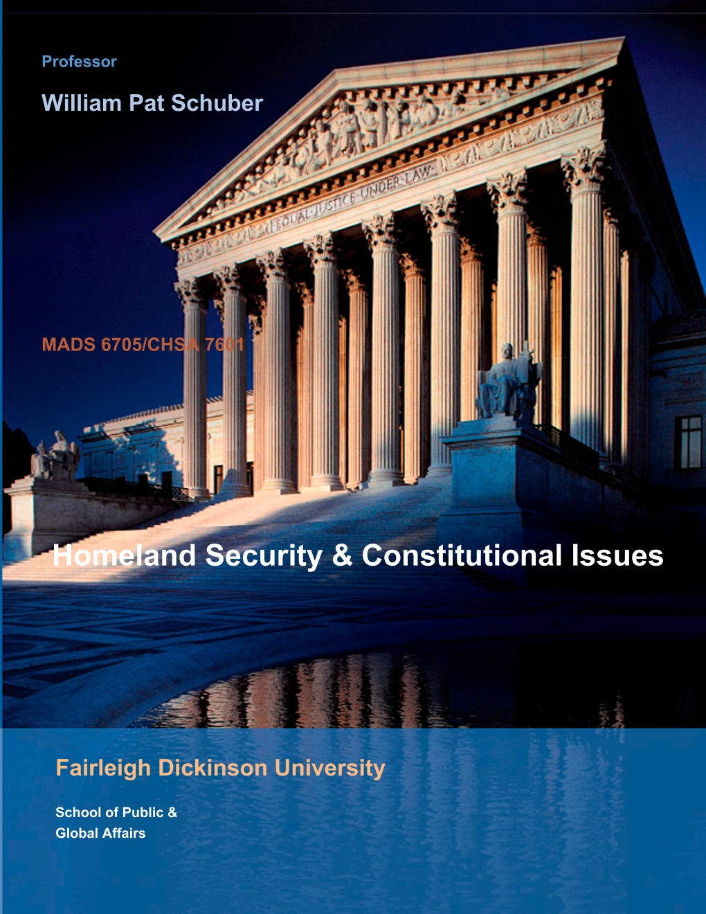 Homeland Security & Constitutional Issues